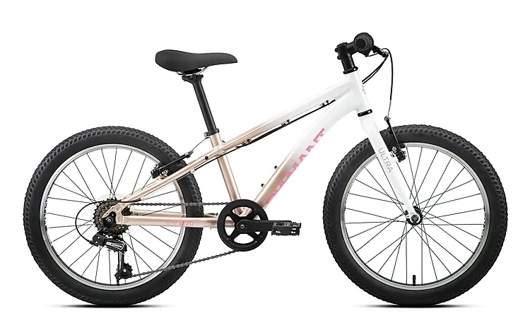 Barnesykler og juniorsykler